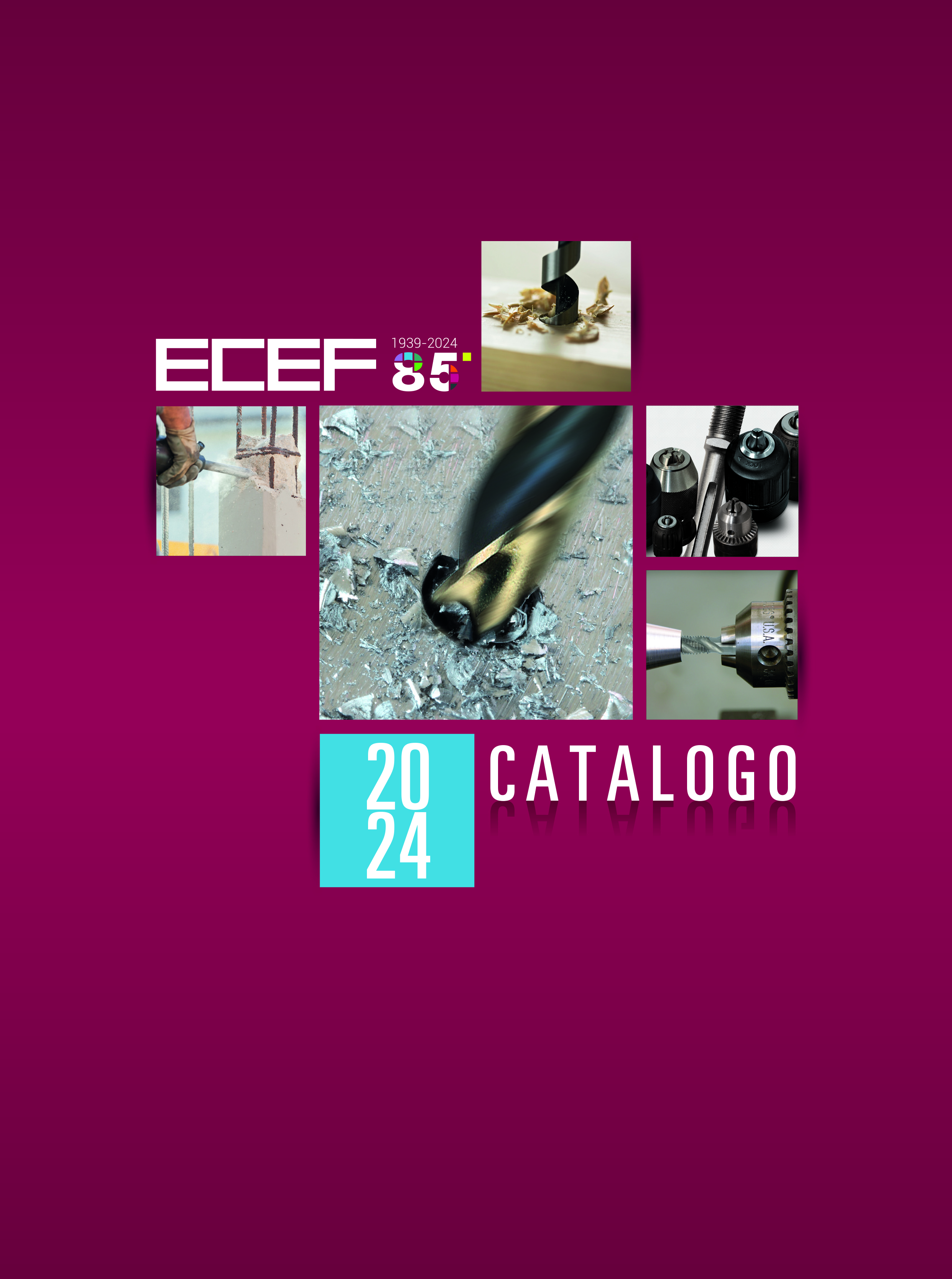 Strumenti e utensili da taglio - ECEF Srl